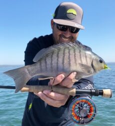 BWCflies Luderick Weed Flies -10 Pack - Green - BWCflies Australia