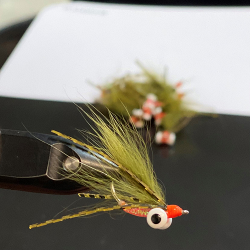 Lakelands Gotcha - Olive · BWCflies